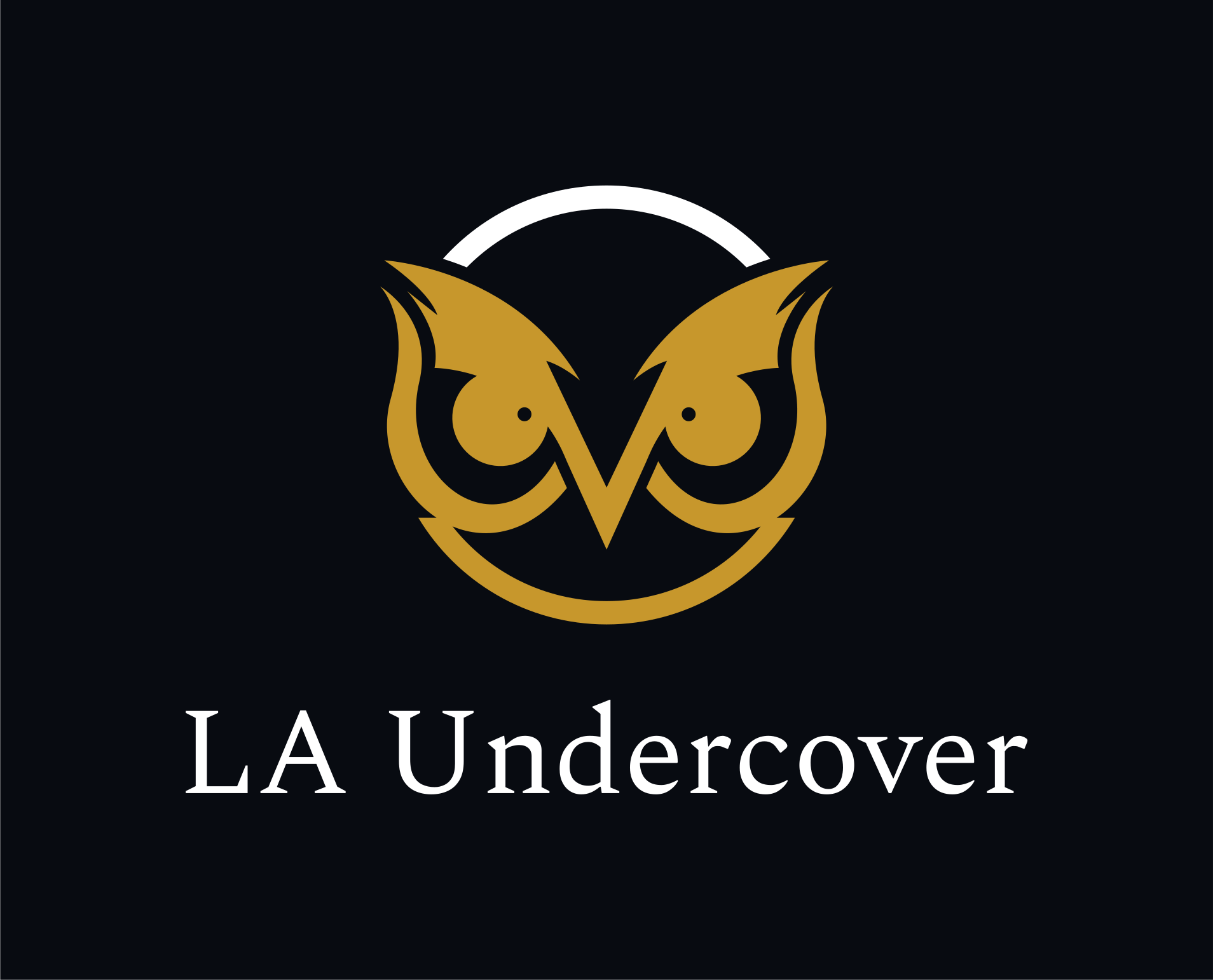 Original Logo – LA Undercover
